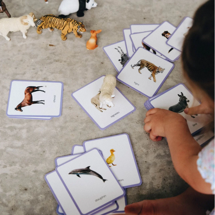 Le Mini-Mondy Animaux - Cartes de nomenclature Montessori